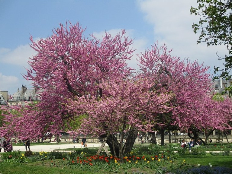 Parisian Fields | Exploring Paris one blog at a time | Page 2